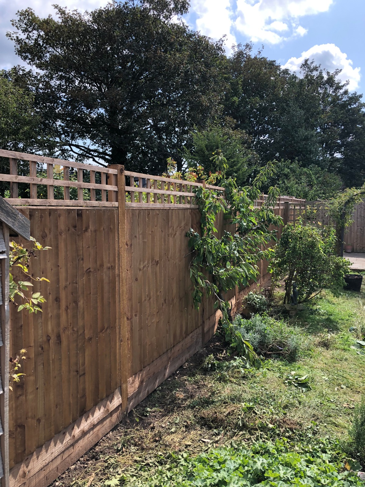 Trellis - Reading Fencing